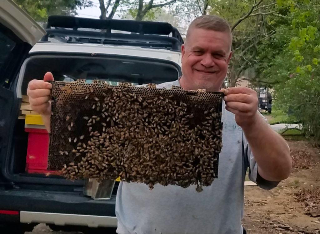 South Bay Apiaries LI, Your Nucleus Colony Connection